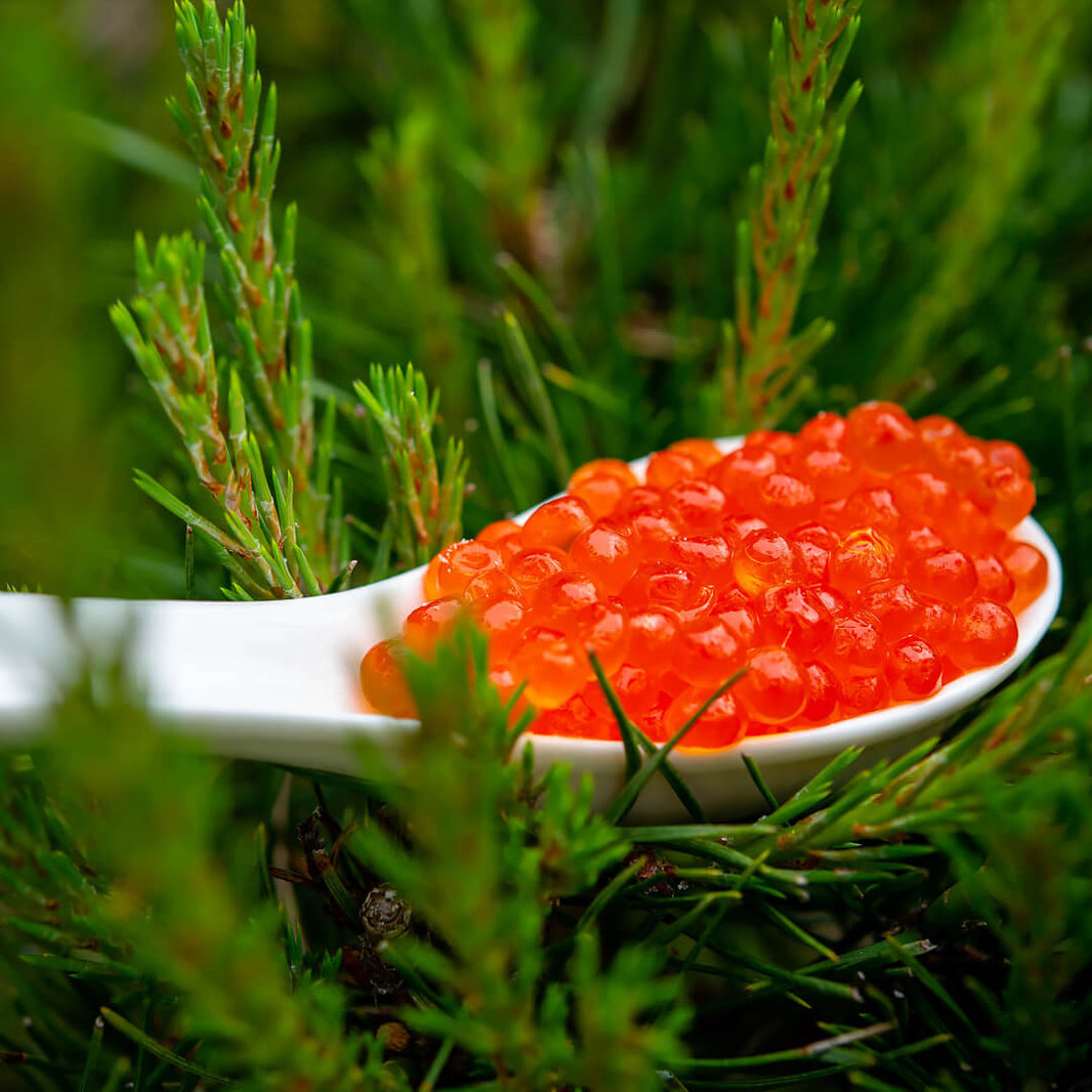 Buy Sturgeon and Salmon Caviar in the Netherlands – Online at Lemberg